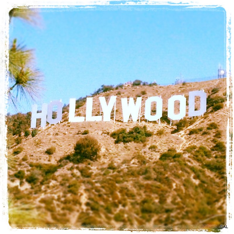 Highlights | All That Glitters